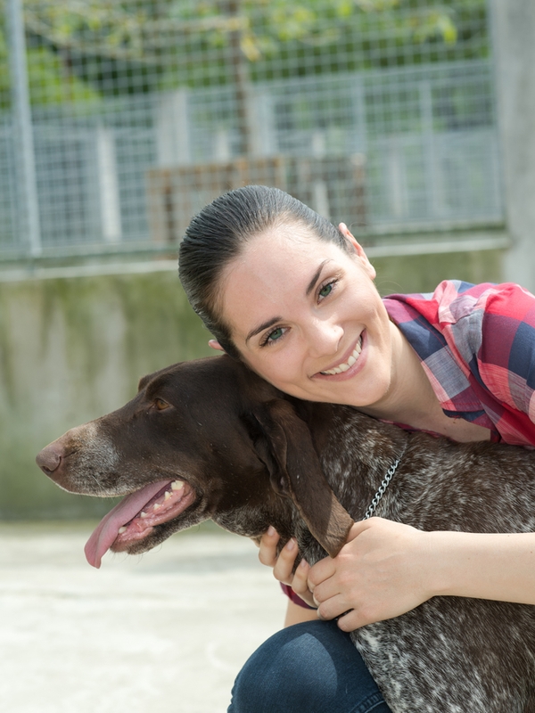 Dog and cat kennels - Pet Kennels - Metalink Kennels